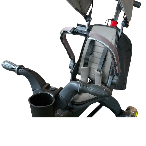 سه چرخه فلامینگو کیوپلی مدل دونا QPlay Doona